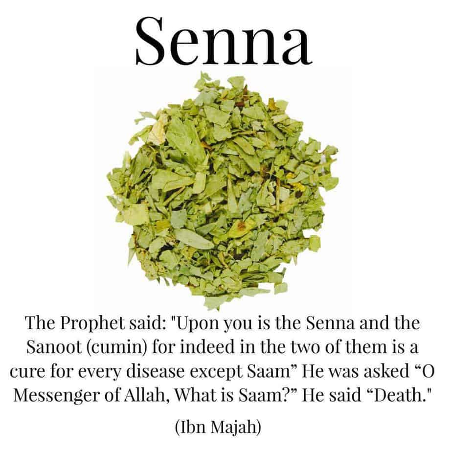 Zam Zam Water and Its Use in Islamic Exorcism (Ruqya) – Inside Saudi