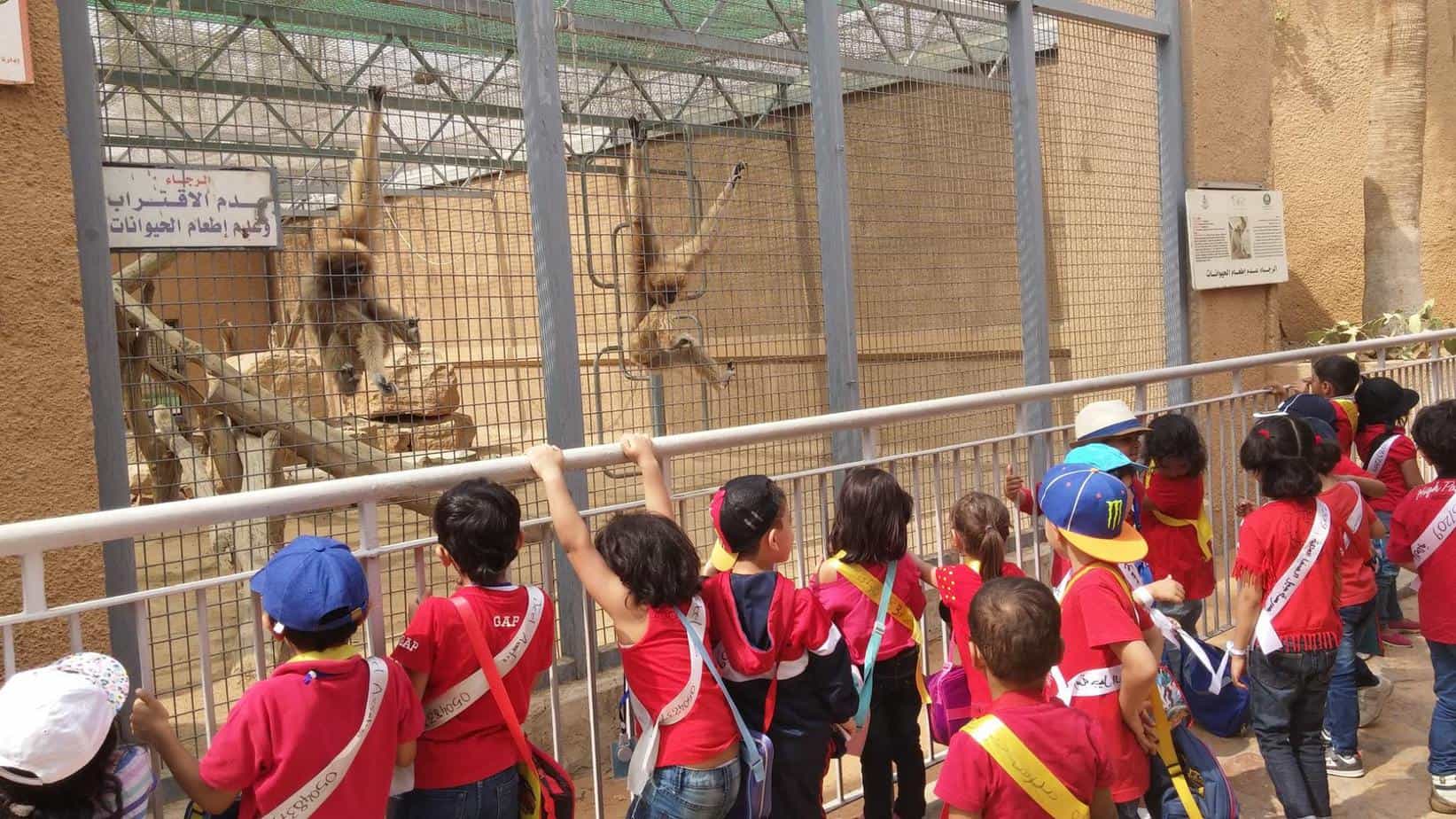 The Complete (New) Guide To The Riyadh Zoo, Malaz – Inside Saudi