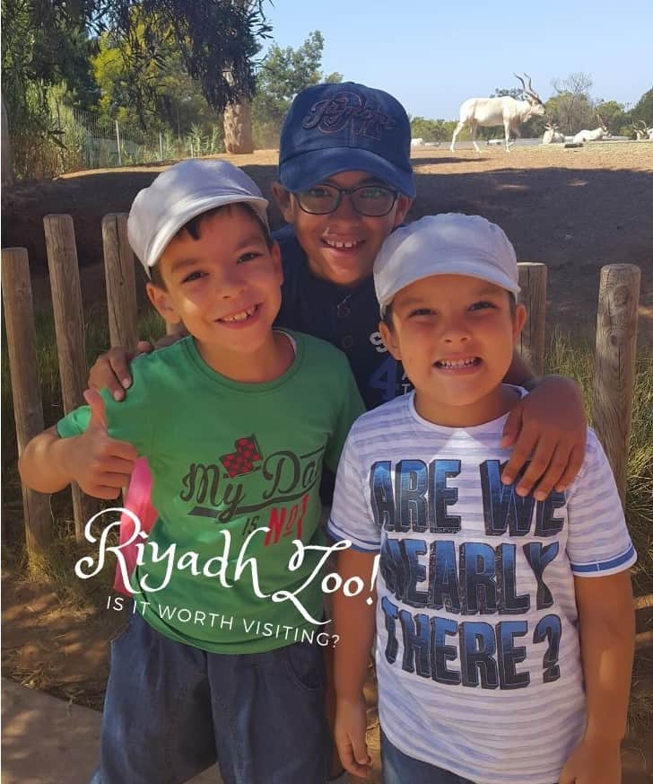 The Complete (New) Guide To The Riyadh Zoo, Malaz – Inside Saudi