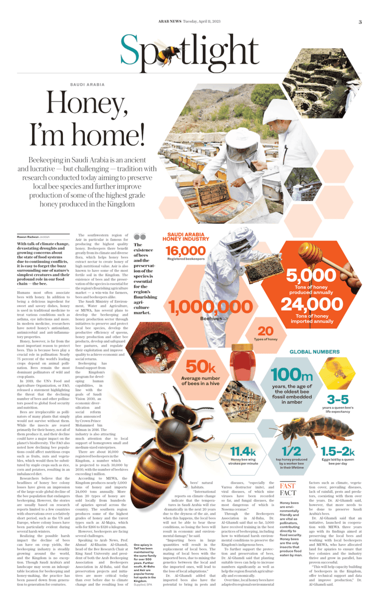 HOney-Im-home – Inside Saudi